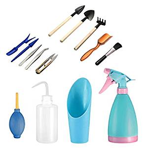 Create A Succulent Garden Using Super Affordable Items | ThatSweetGift