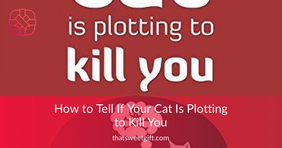 “How to Tell If Your Cat Is Plotting to Kill You” | ThatSweetGift.com