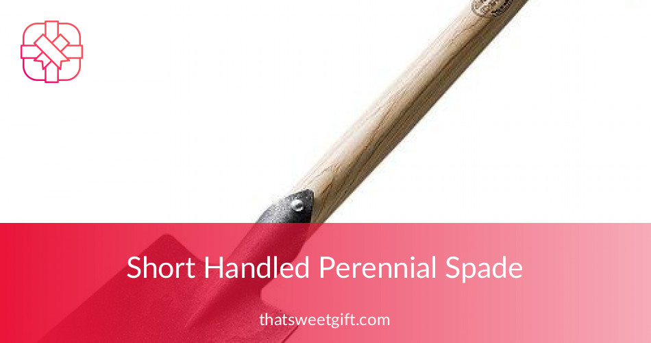 Short Handled Perennial Spade With T-Handle Design | ThatSweetGift