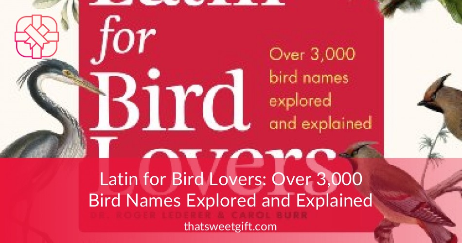 Latin For Bird Lovers Over 3 000 Bird Names ThatSweetGift latin-for-bird-lovers-over-3-000-bird-names-thatsweetgift