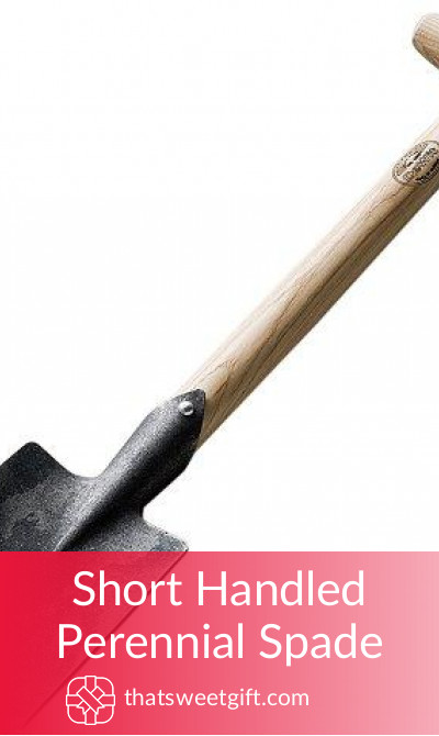 Short Handled Perennial Spade T-Handle Design | ThatSweetGift